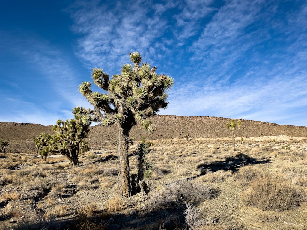 Nevada’s most glittering experiences – Lonely Planet - Lonely Planet