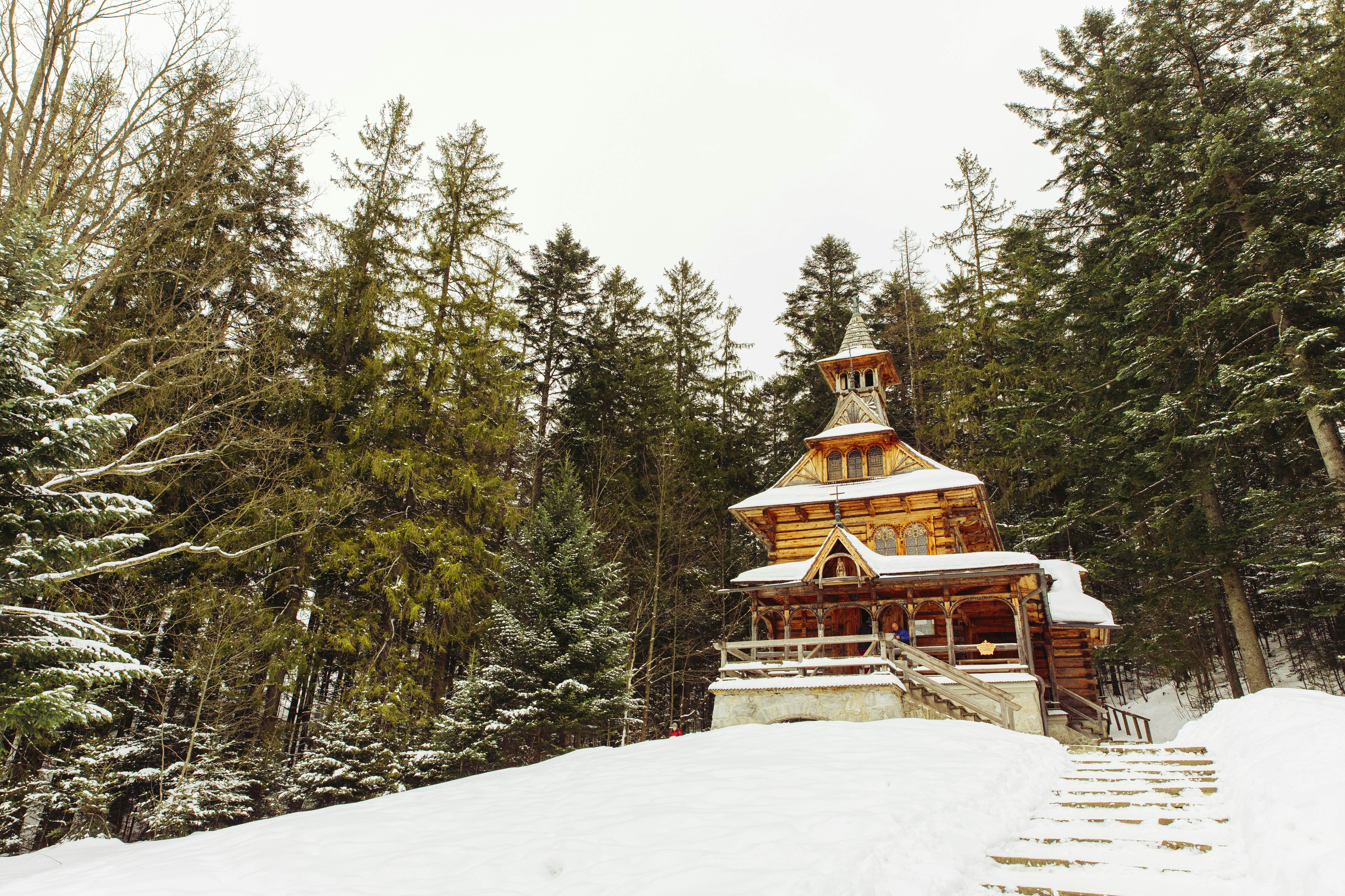The best places to travel to in January – Lonely Planet - Lonely Planet