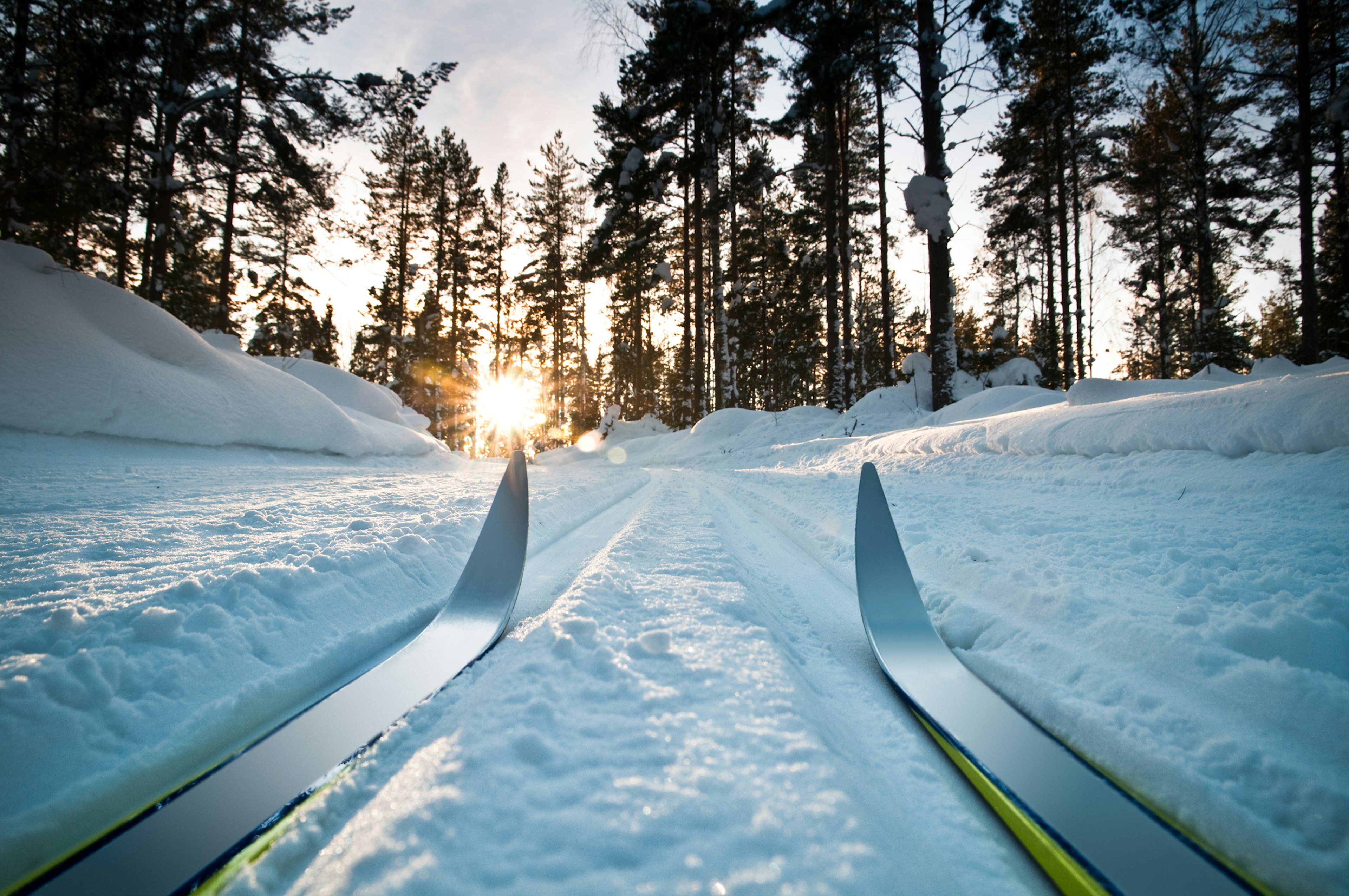 Experience cross-country skiing in Sweden - Lonely Planet