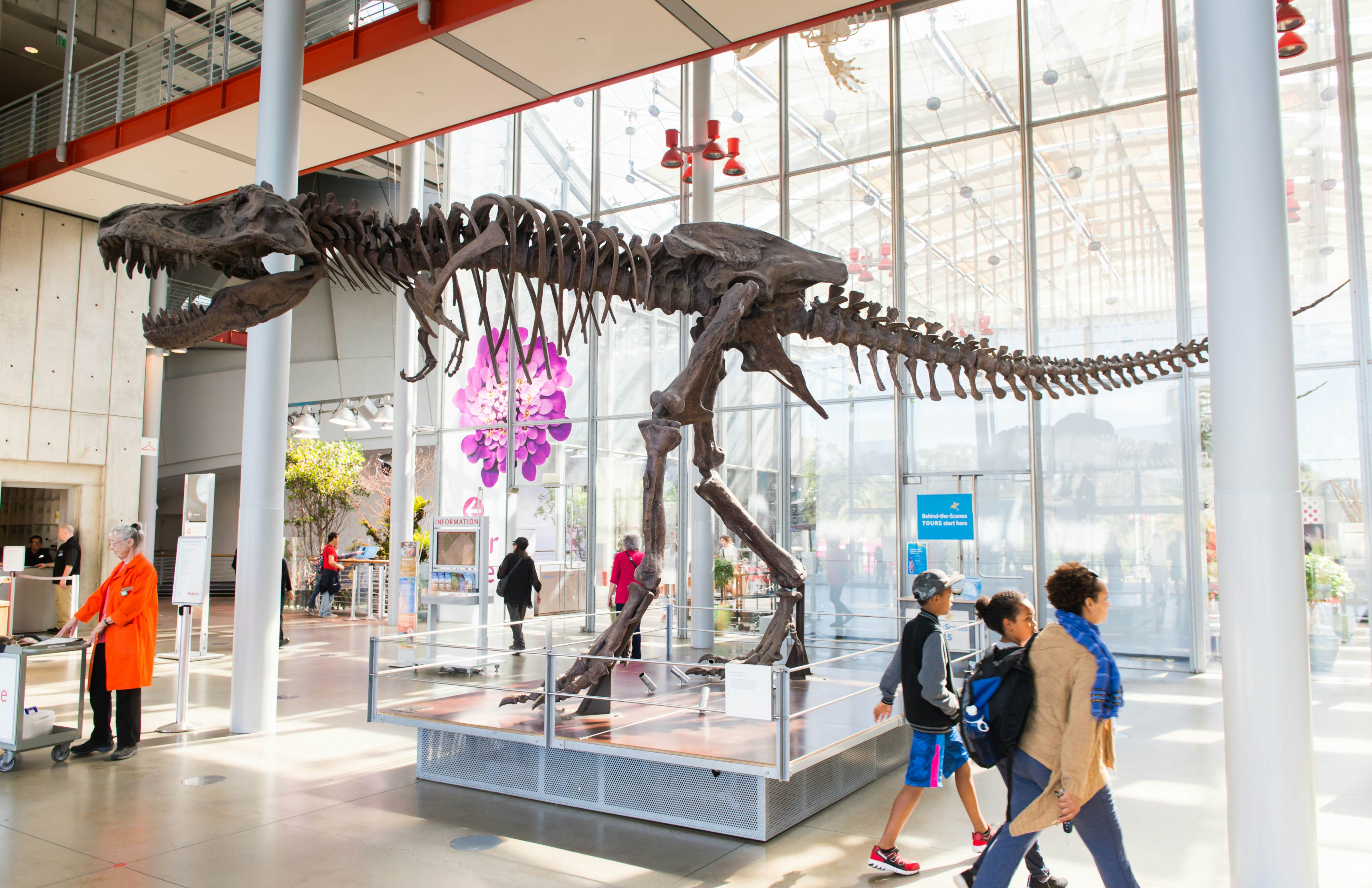 San Francisco's 10 best museums for culture lovers – Lonely Planet ...