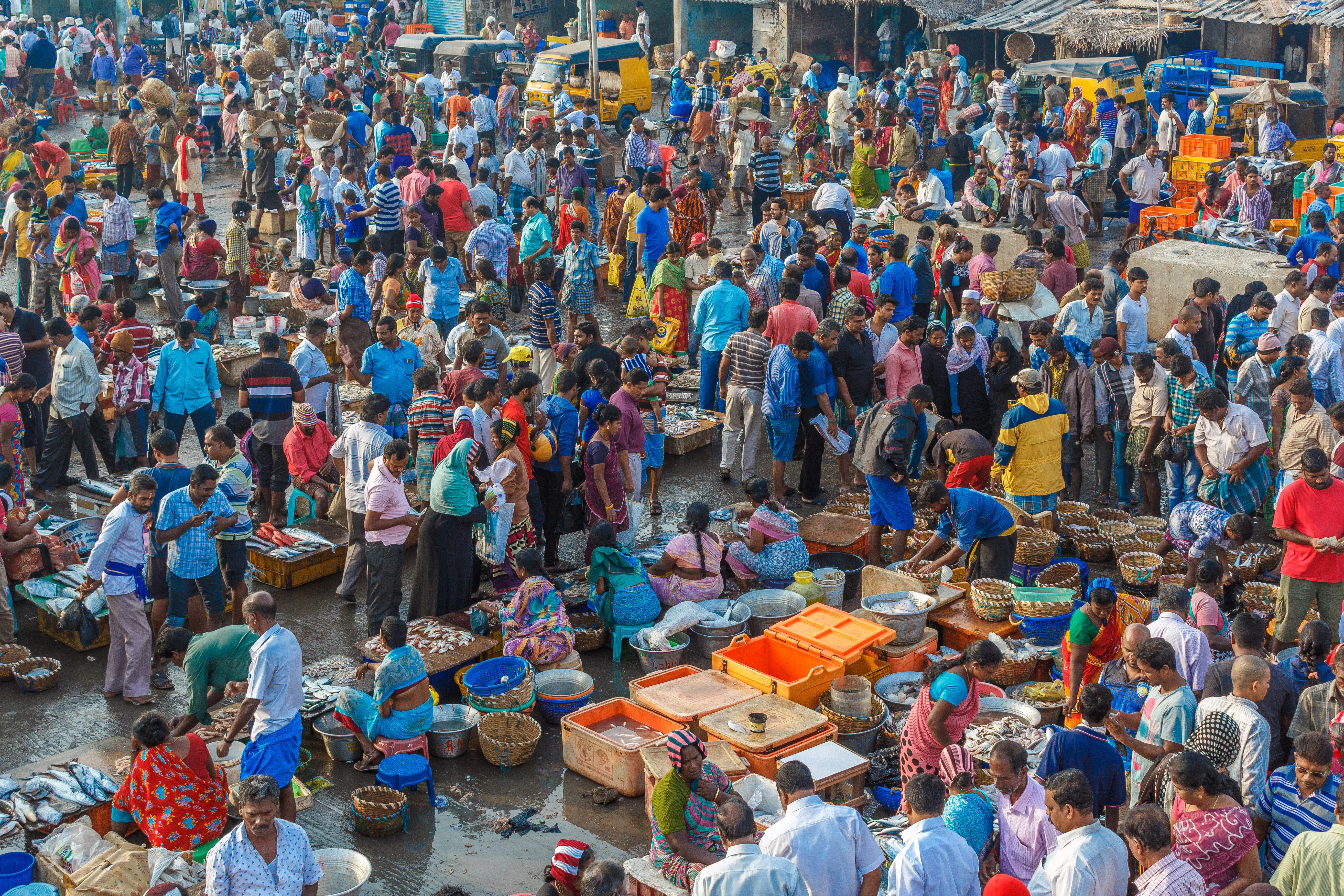 A guide to exploring India’s diverse Indigenous (Adivasi) cultures ...