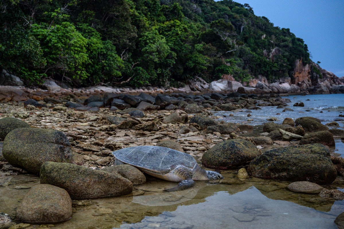 The best beaches in Malaysia - Lonely Planet