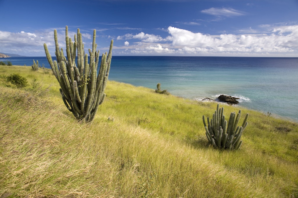Best hikes in Cuba - Lonely Planet