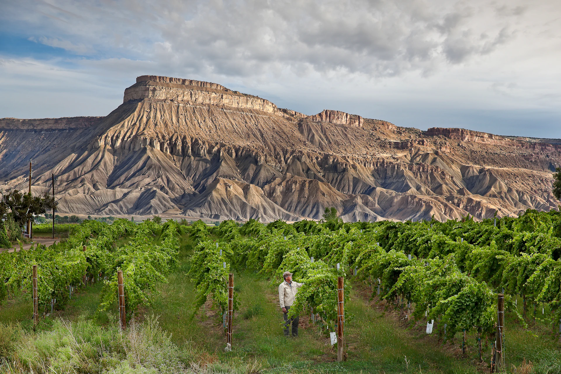 10 of the best agritourism farm stays for 2022 - Lonely Planet