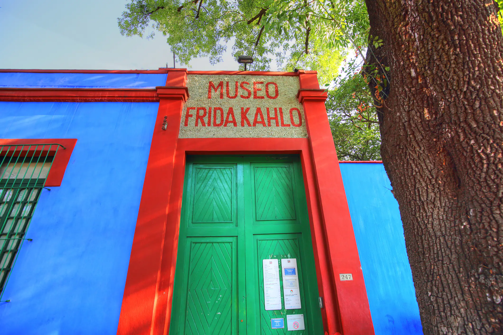 Afro-Mexican culture in Mexico and its historical significance - Lonely ...