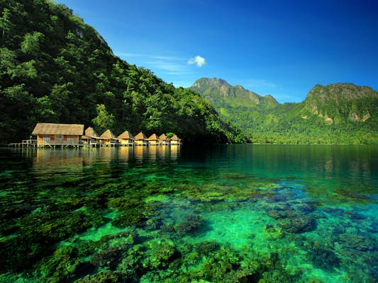 Pulau Ambon travel - Lonely Planet | Indonesia, Asia