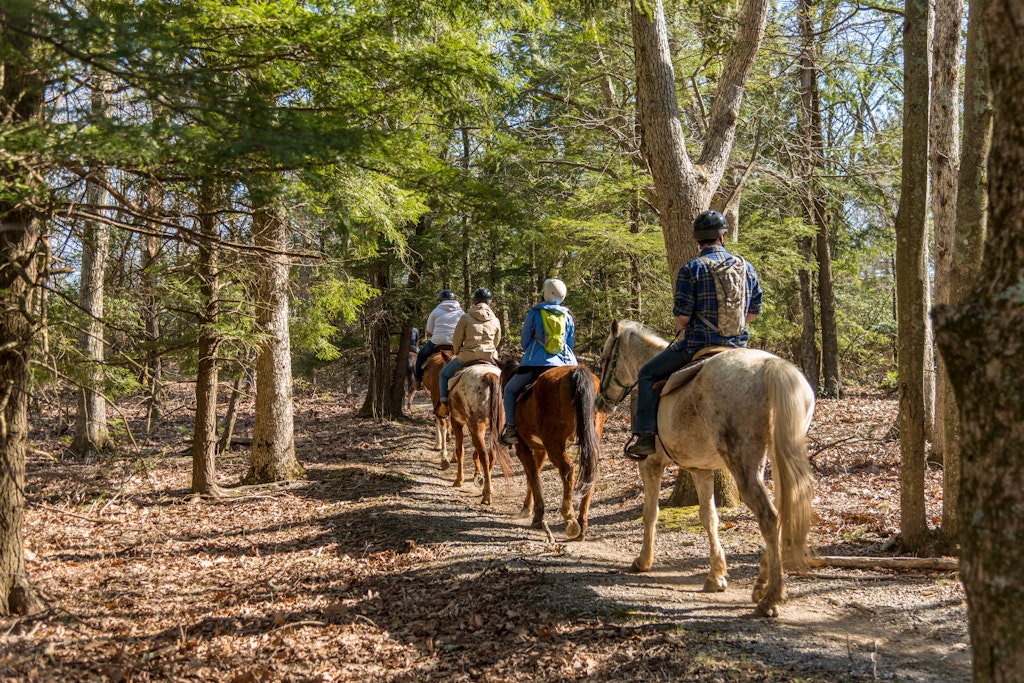 Best places to visit in Virginia - Lonely Planet