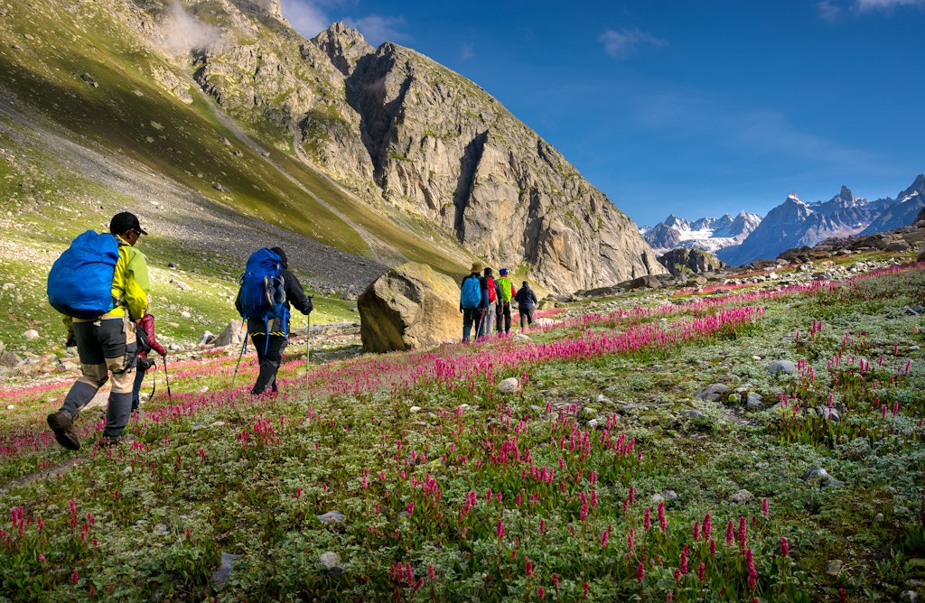 The 12 best hikes in india - Lonely Planet