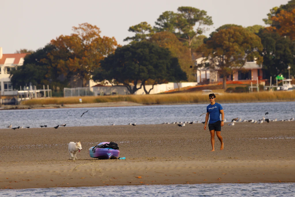 The best things to do in Virginia Beach - Lonely Planet