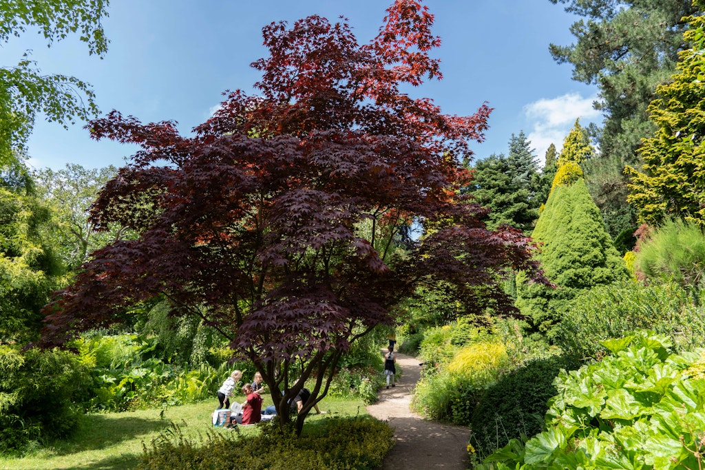 The 11 best parks in Manchester - Lonely Planet
