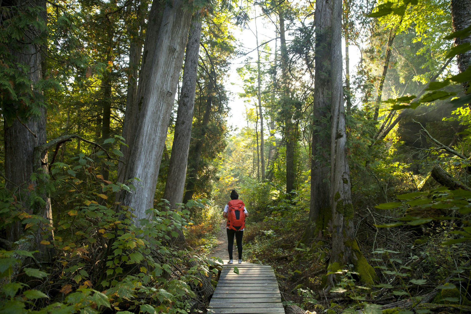 The 5 best hikes in Wisconsin - Lonely Planet