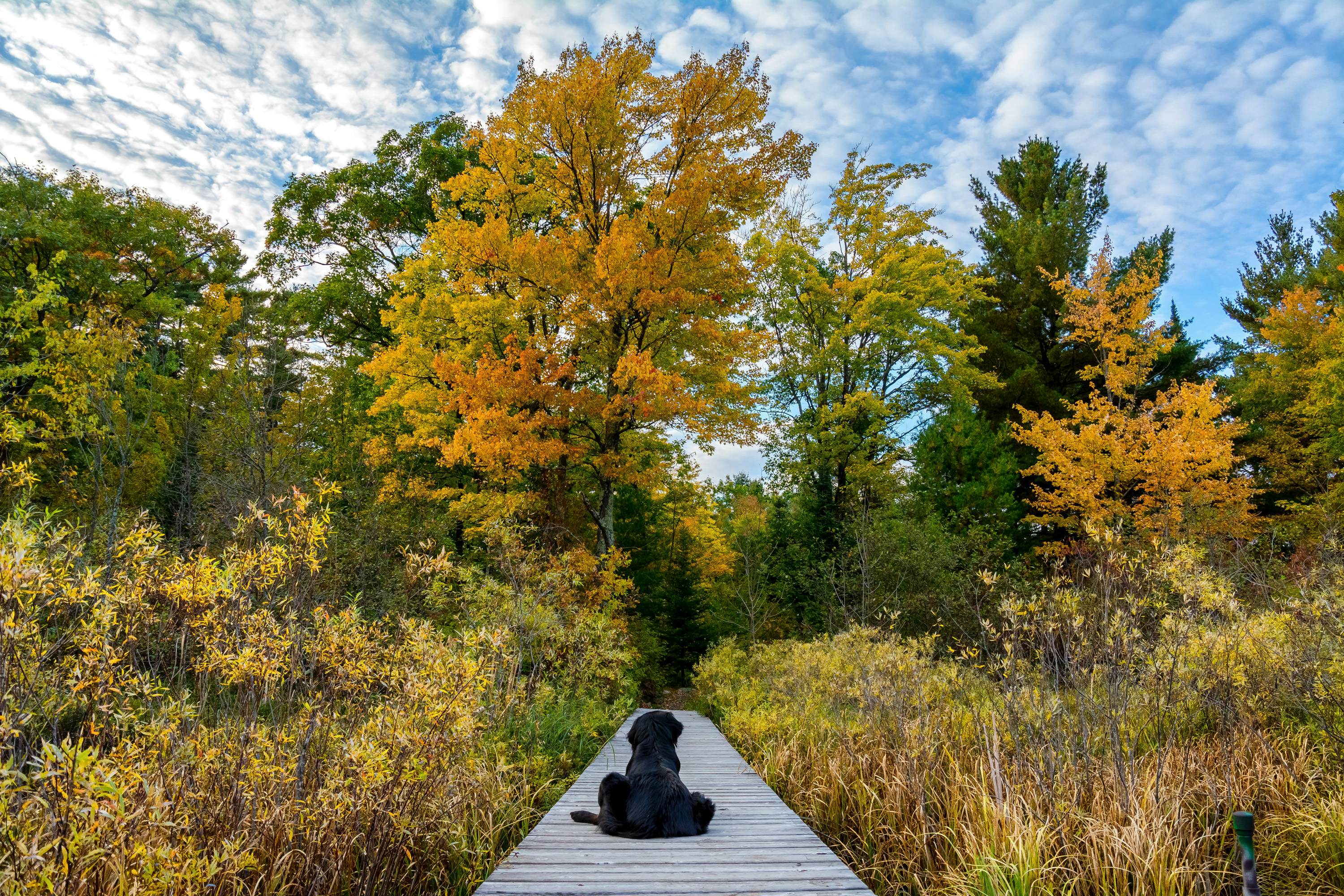 The best places in Wisconsin - Lonely Planet