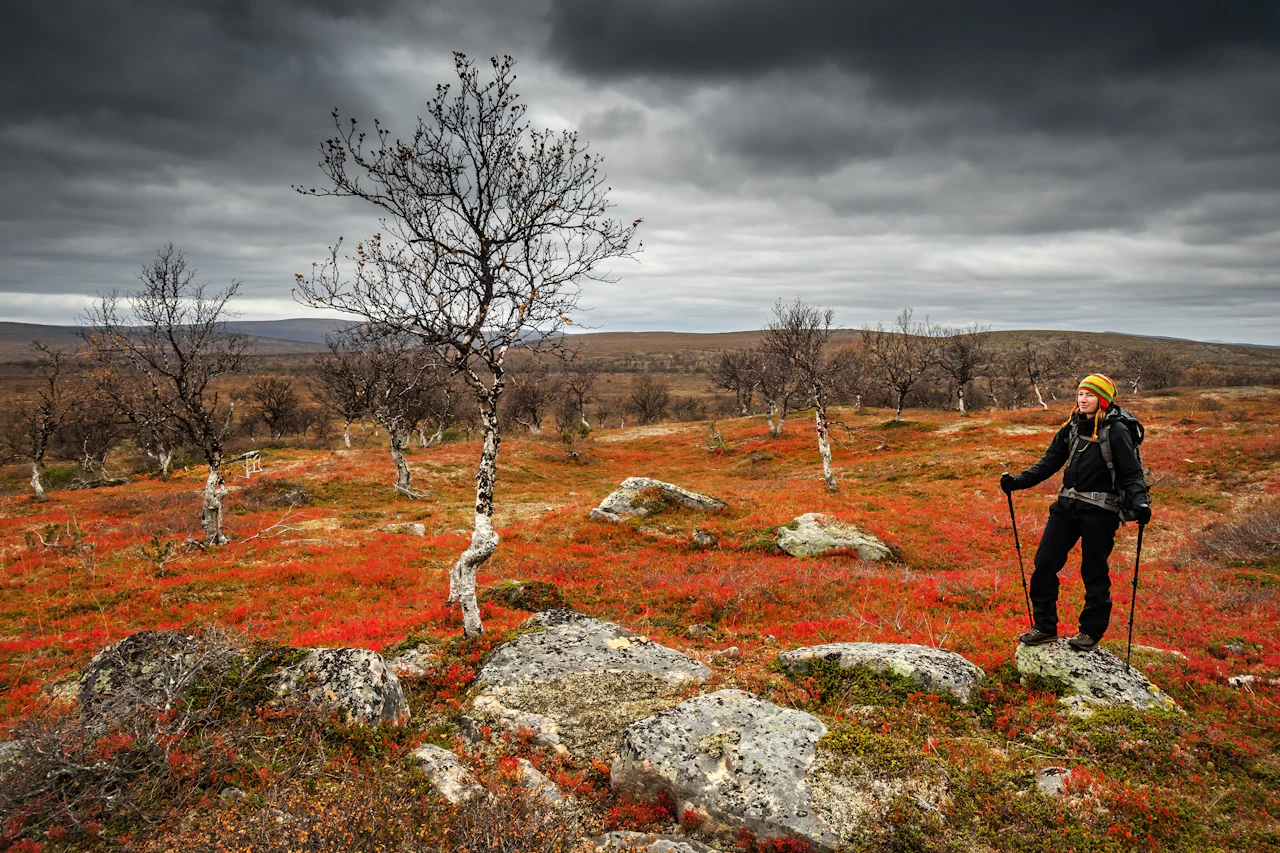 The best hikes in Finland - Lonely Planet