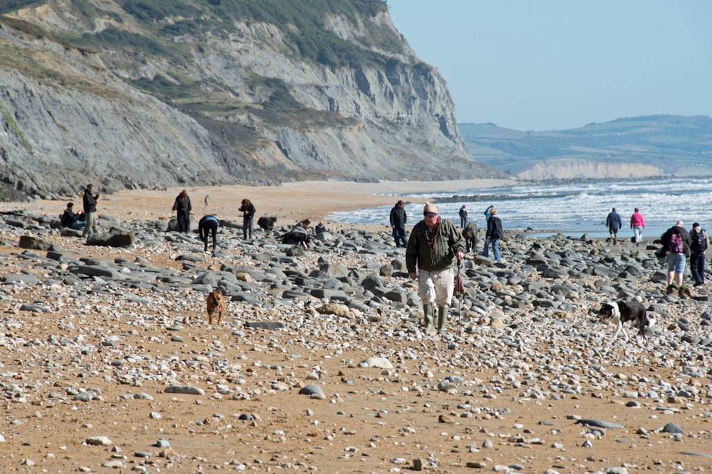 Best things to do in Dorset - Lonely Planet