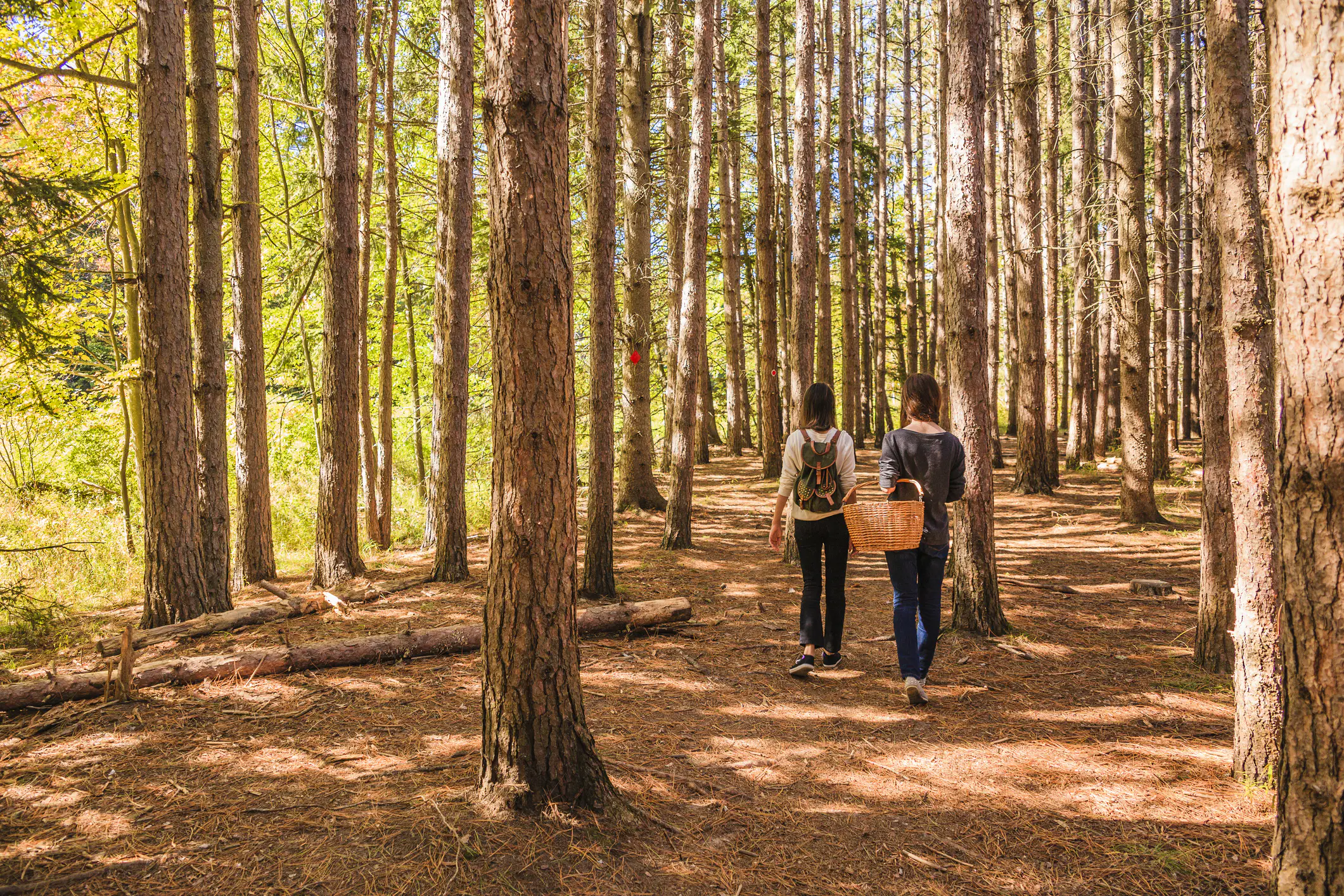 Best free things to do in the Poconos - Lonely Planet