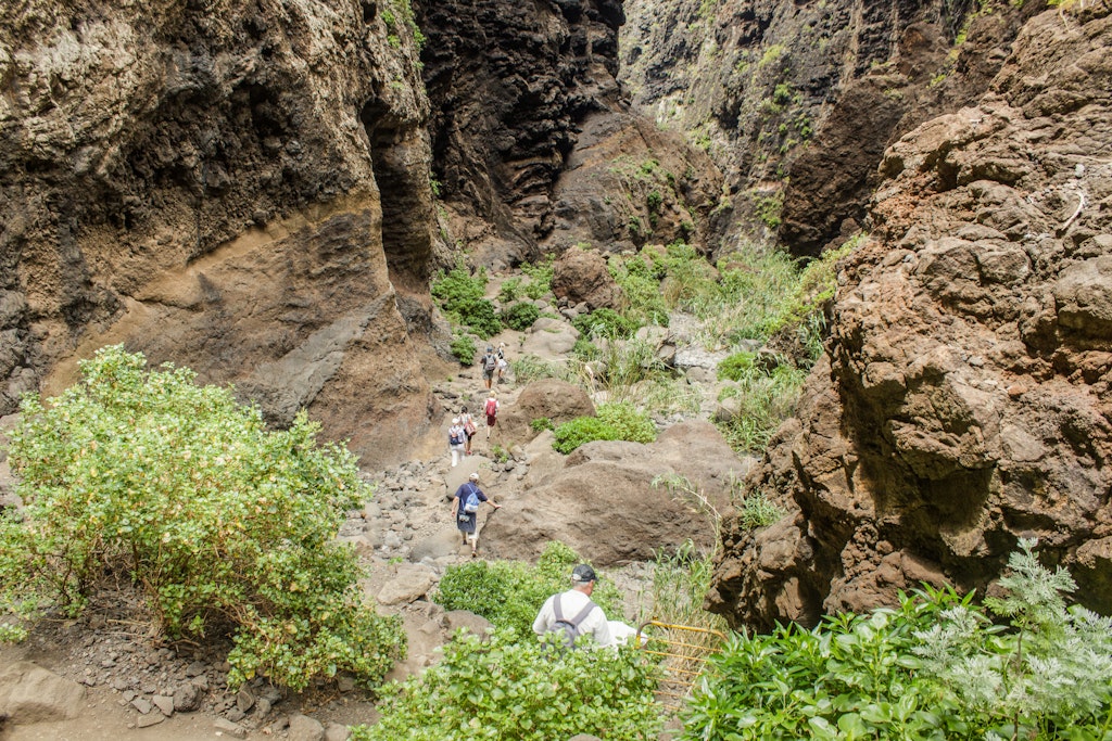 8 of the best hikes in Tenerife - Lonely Planet