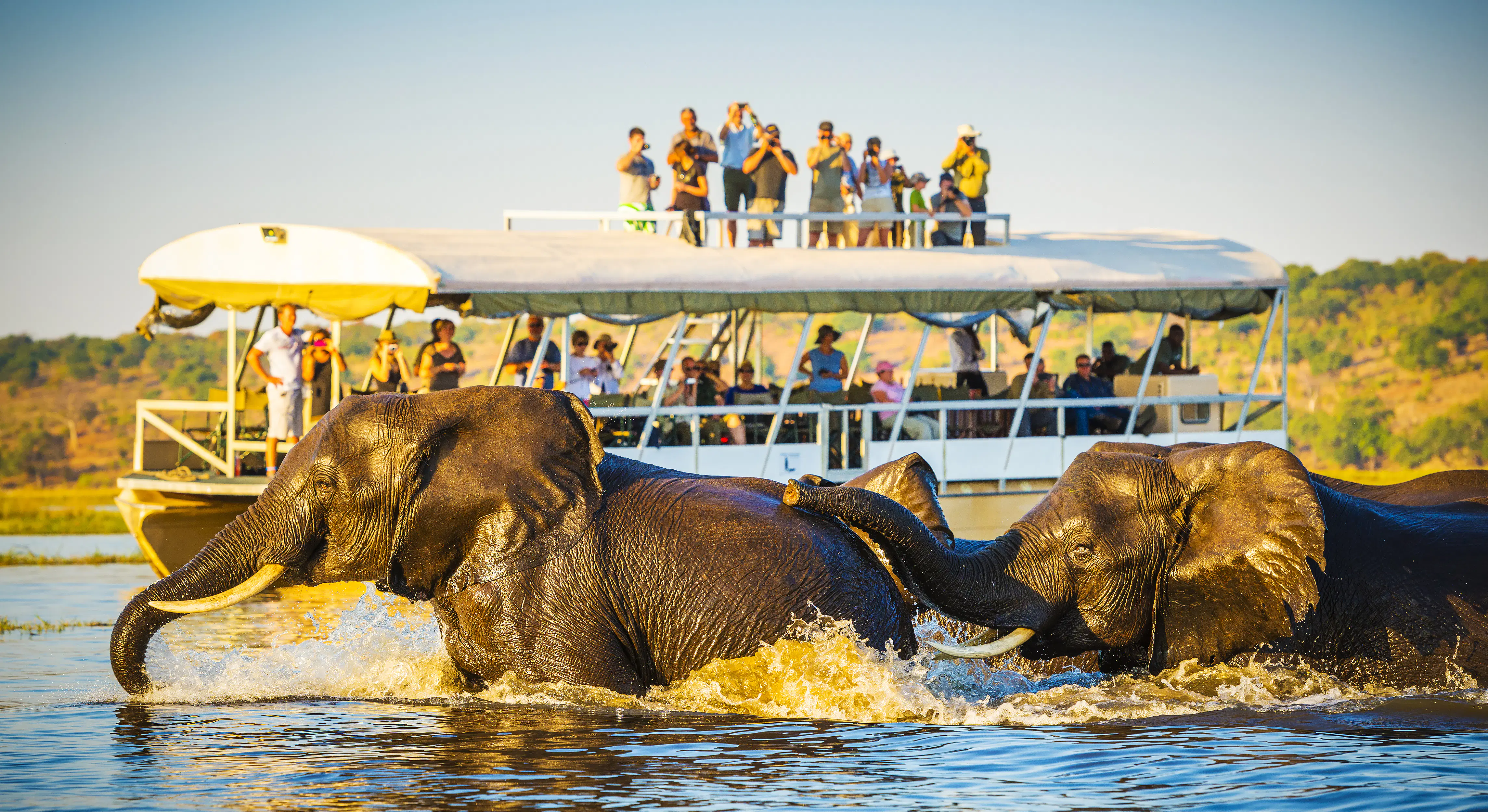 19 of the best things to do in Botswana - Lonely Planet