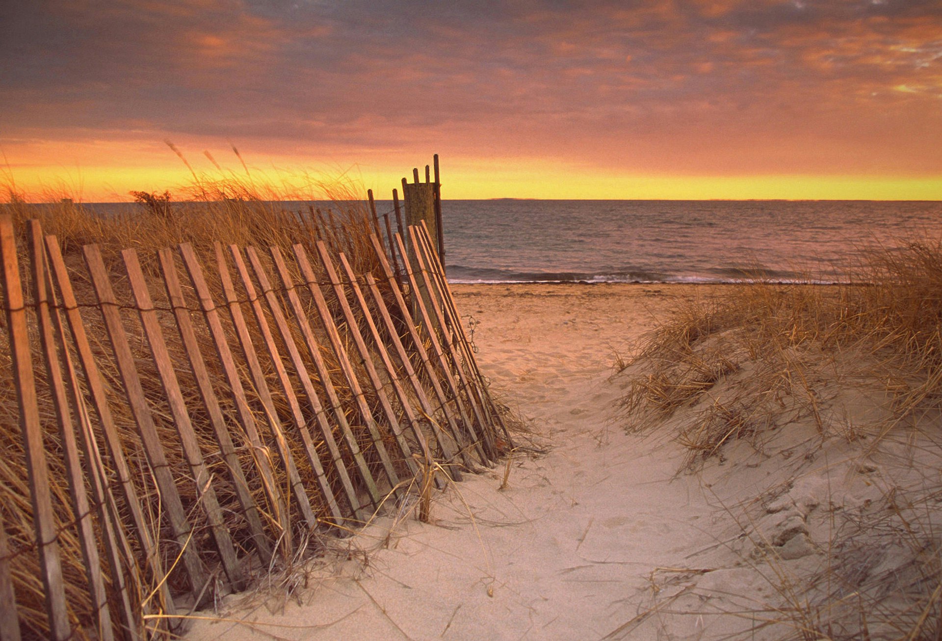 Best ways to get around Cape Cod - Lonely Planet