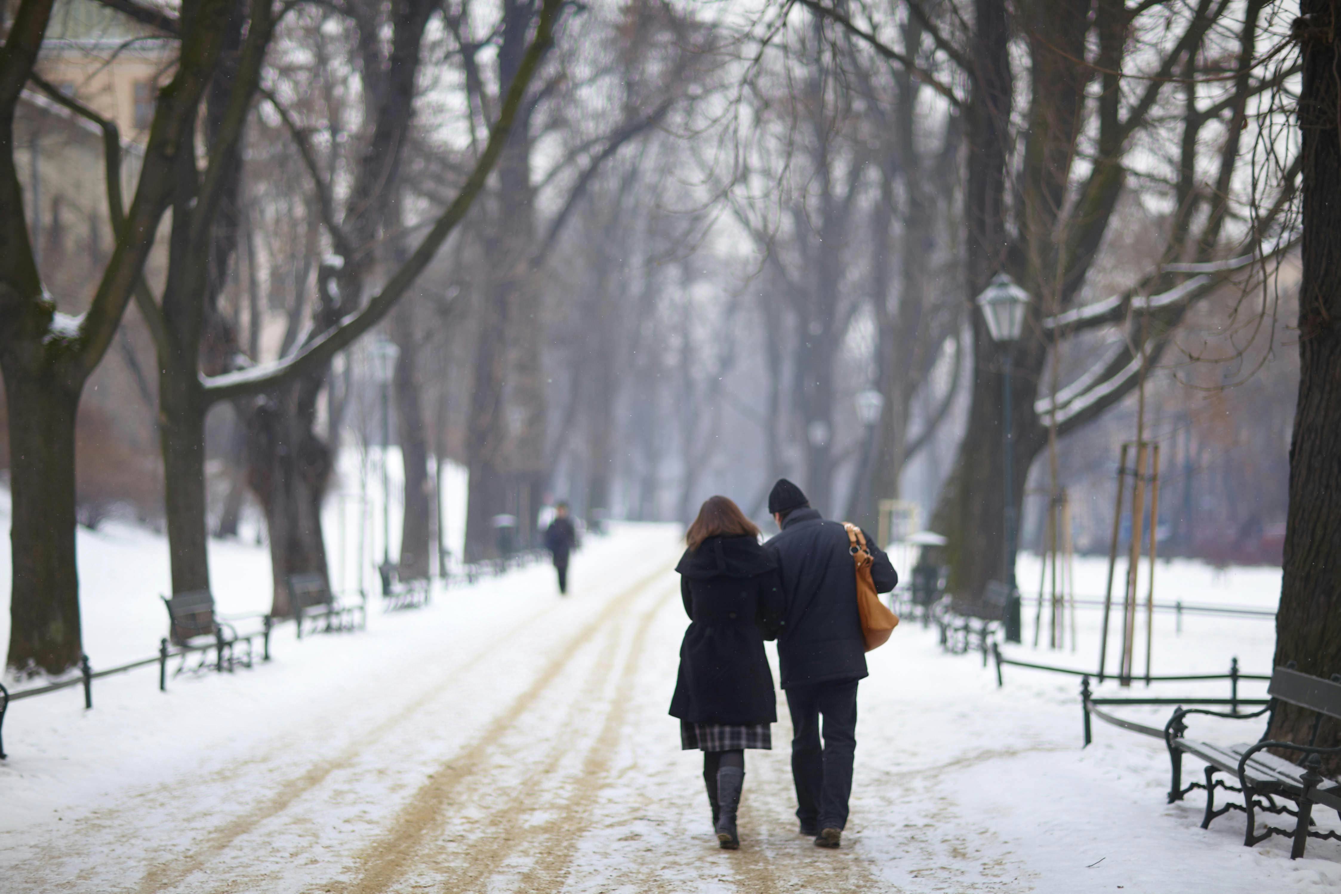 The best time to visit Krákow - Lonely Planet