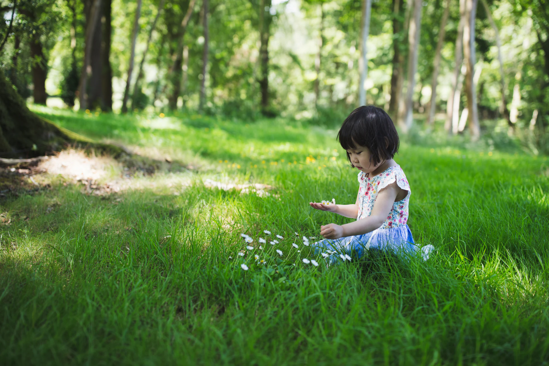 Best parks in Belfast - Lonely Planet
