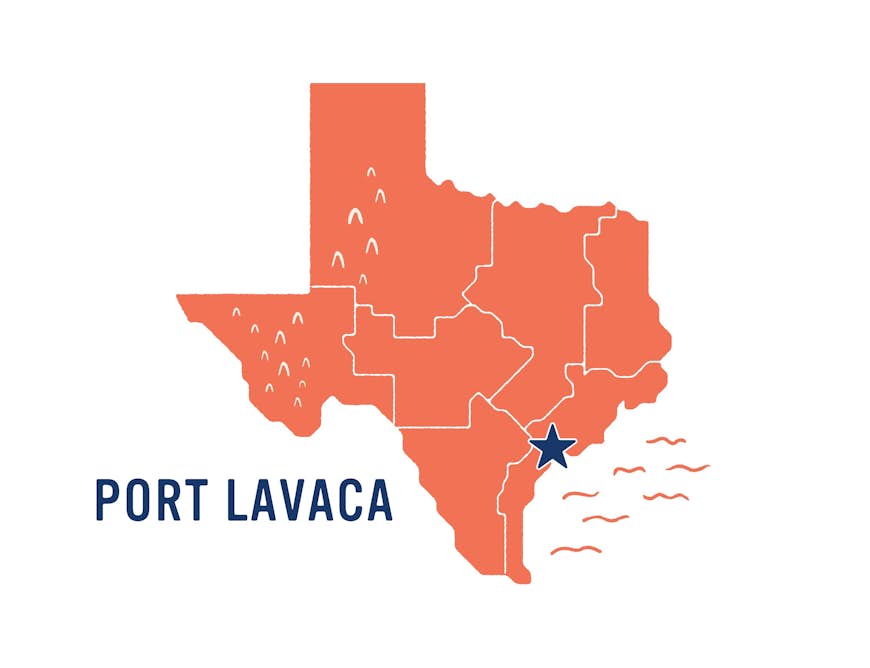 Port Lavaca is a hidden gem for wildlife on the Texas coast - Lonely Planet