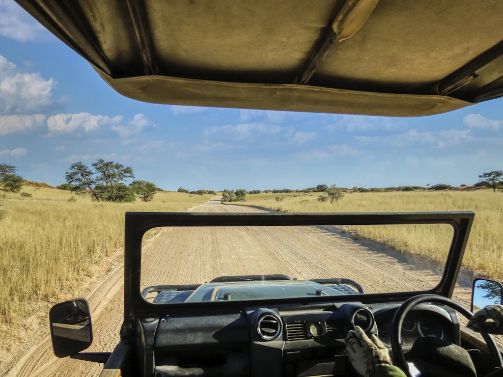 How to get around in Botswana - Lonely Planet