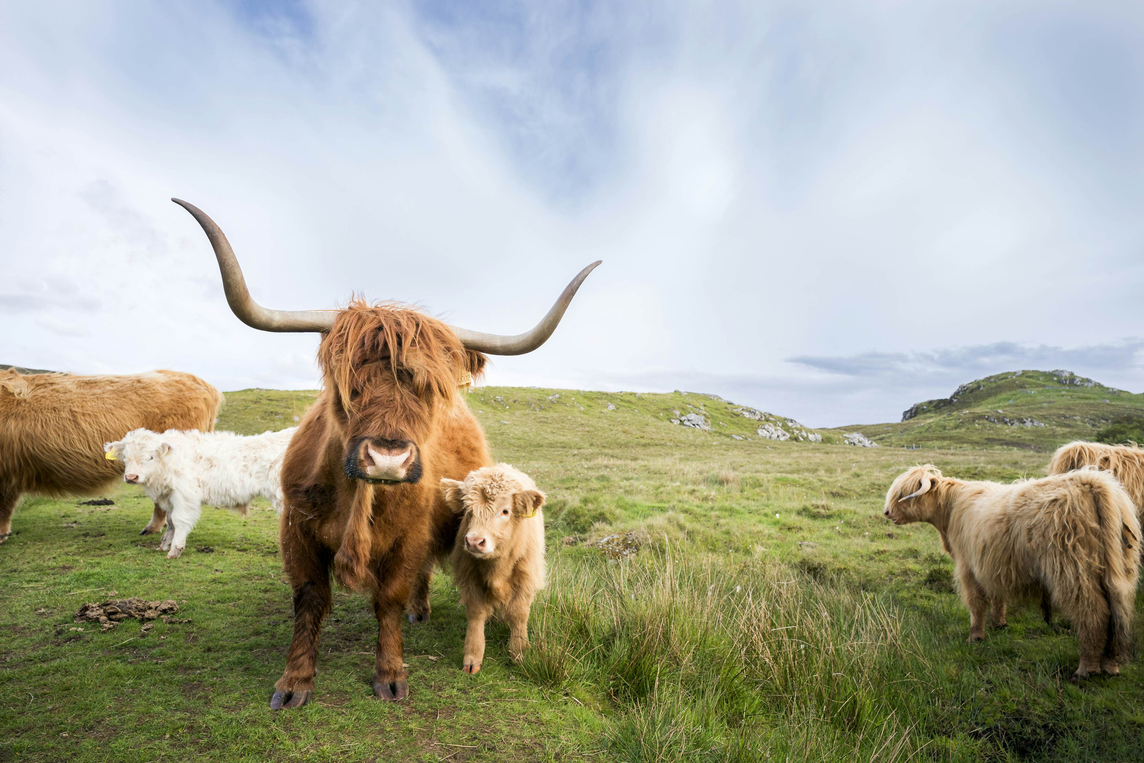 8 best islands in Scotland – Lonely Planet - Lonely Planet