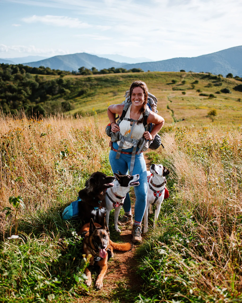 Pups are welcome: 17 best dog destinations in US - Lonely Planet