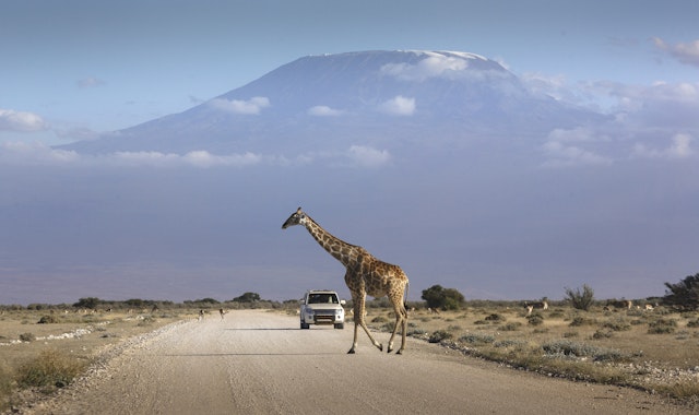 Best time to visit Kenya - Lonely Planet