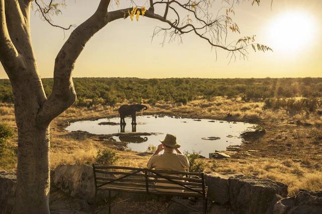 Best road trips in Namibia - Lonely Planet