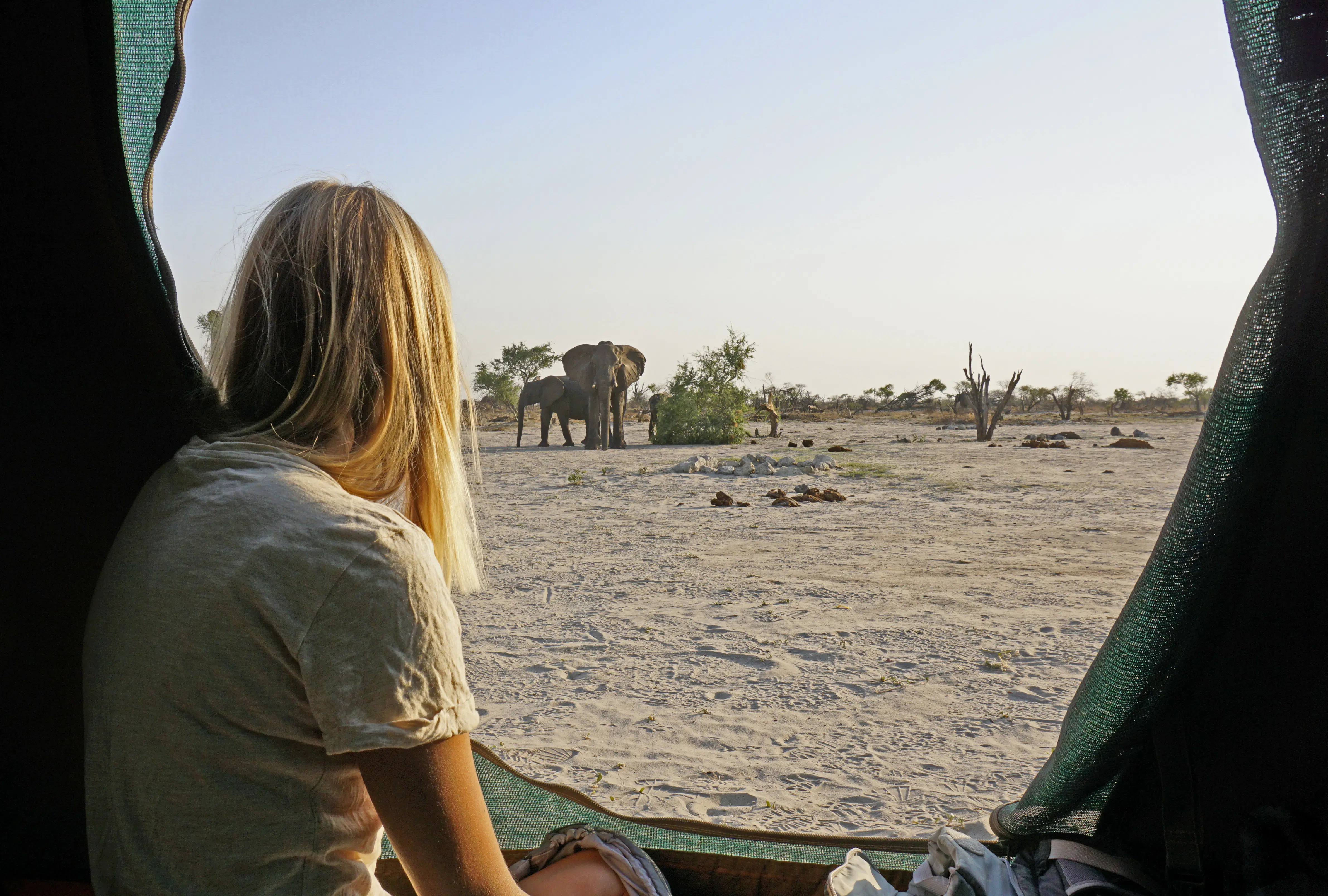 Visa requirements for visiting Botswana - Lonely Planet
