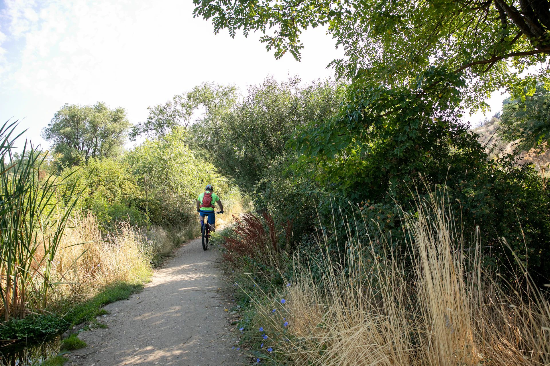 A perfect day in Boise - Lonely Planet