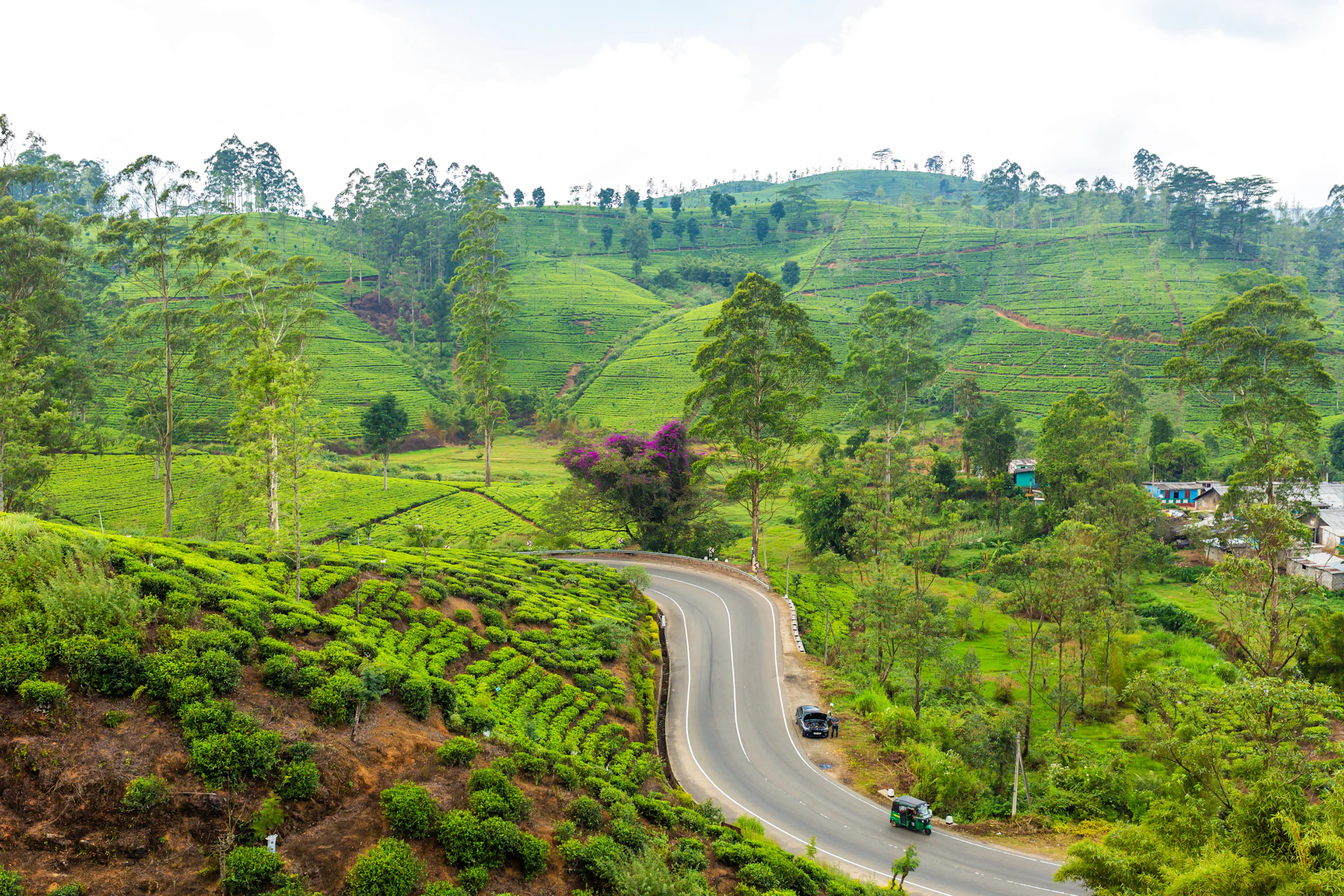 Best road trips in Sri Lanka - Lonely Planet