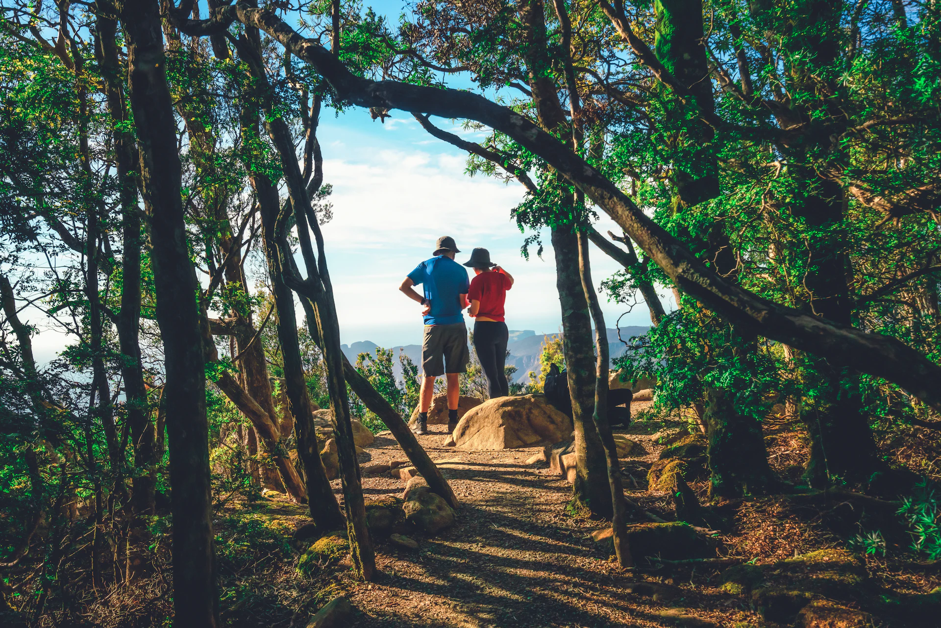 The 12 best hikes in Australia - Lonely Planet