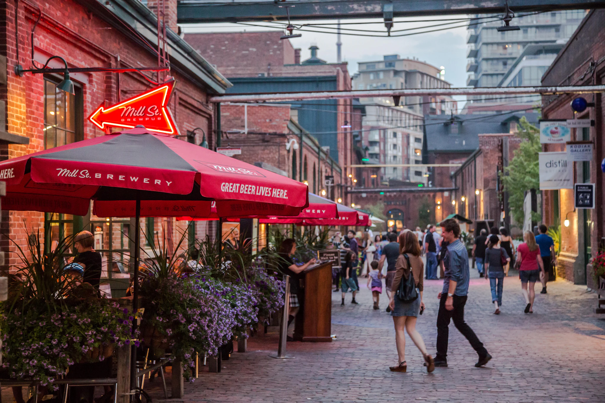 The best free things to do in Toronto – Lonely Planet - Lonely Planet