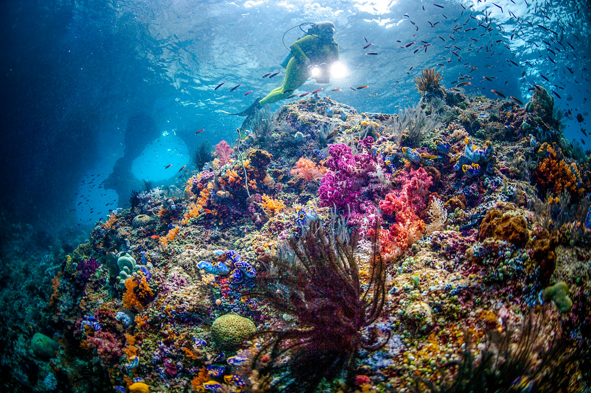 7 days at sea in Raja Ampat - Lonely Planet