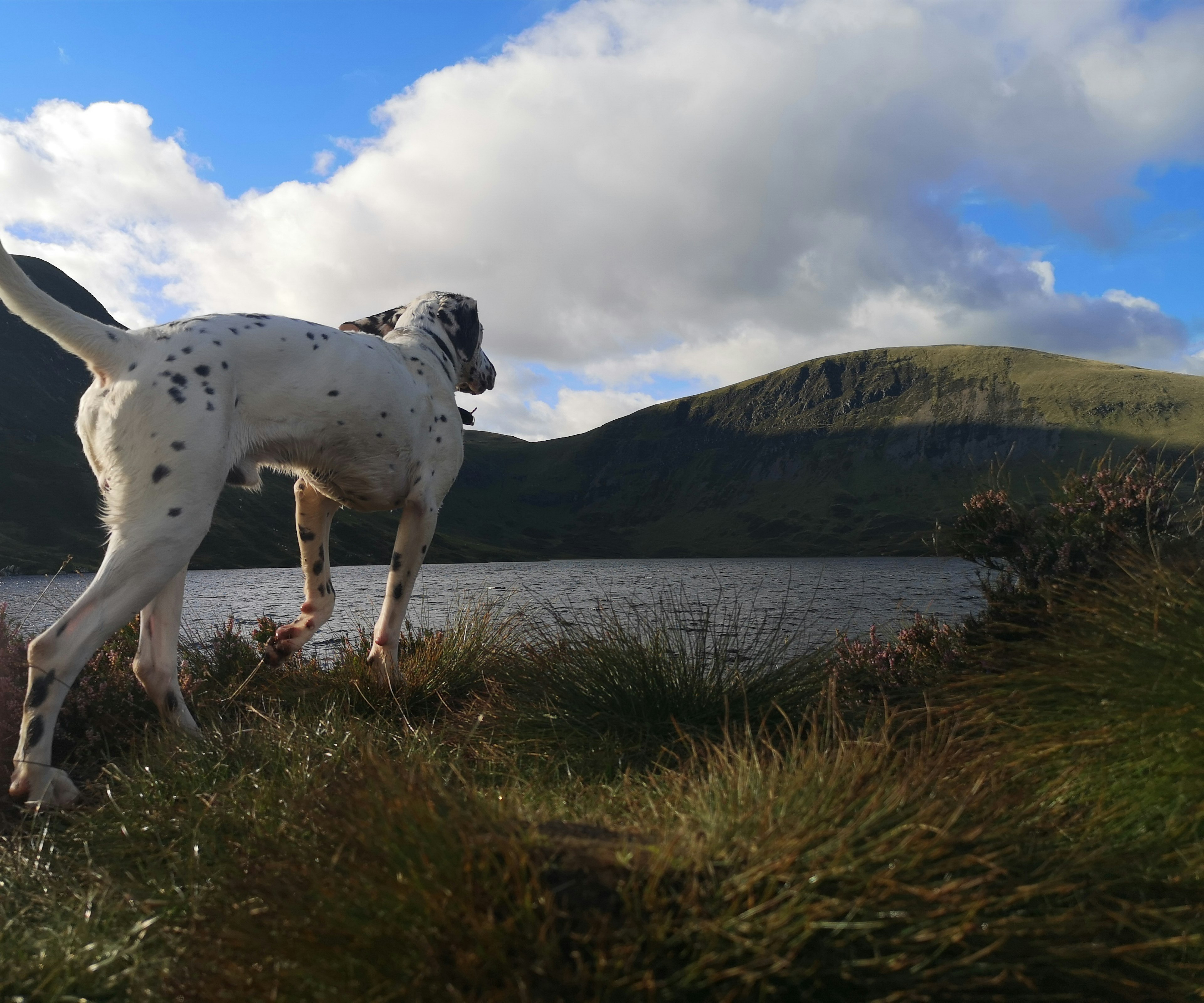 Check out Luke Mitchell's perfect day in Southern Scotland - Lonely Planet
