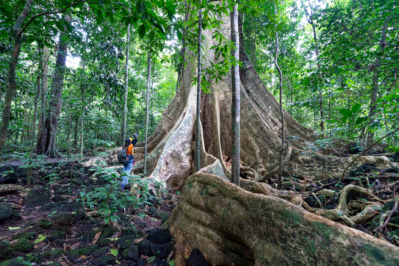 The best hikes in Vietnam - Lonely Planet