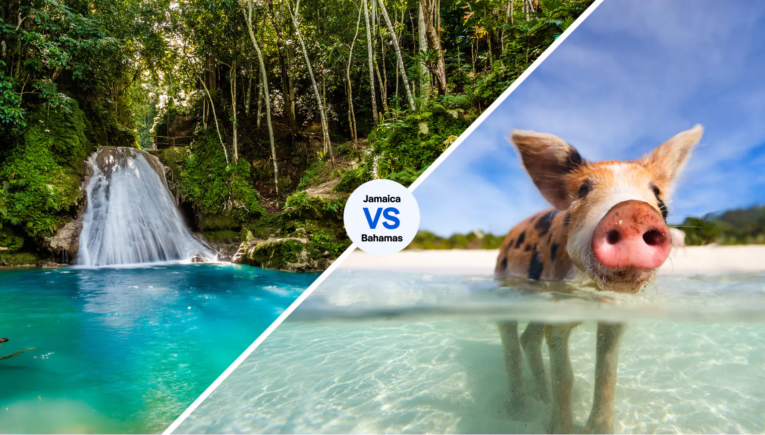 Getting around in Jamaica - Lonely Planet