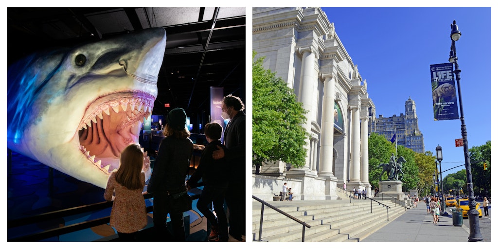 The best US exhibitions in 2023 - Lonely Planet