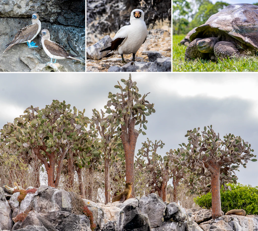 On a trip to the Galápagos Islands, class is in session – Lonely Planet ...