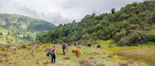 7-day journey on the Trans Bhutan Trail - Lonely Planet