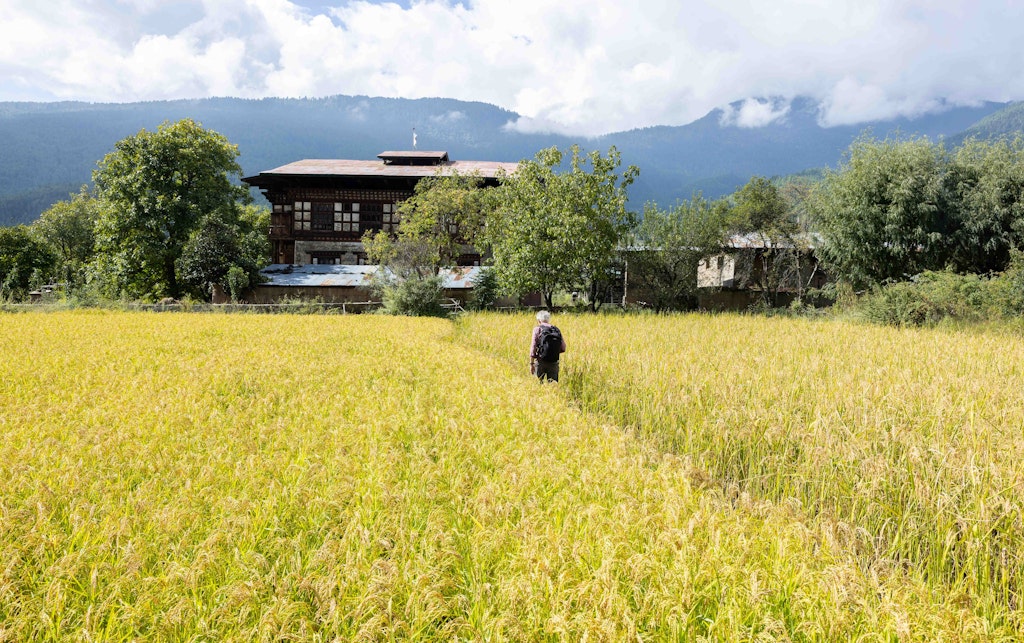 A first look at the Trans Bhutan Trail – Lonely Planet - Lonely Planet