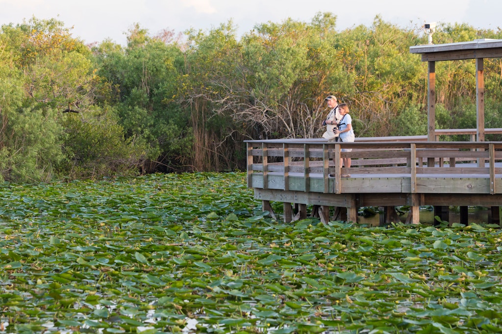 5 best hikes in Everglades National Park - Lonely Planet