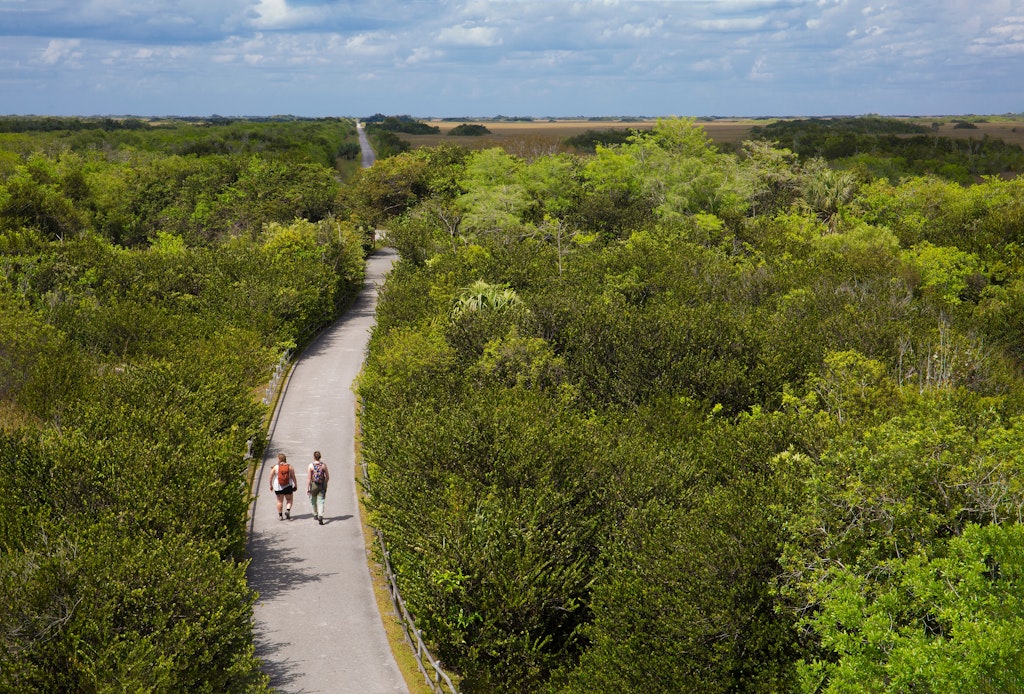 5 of the best hikes in Everglades National Park - Lonely Planet