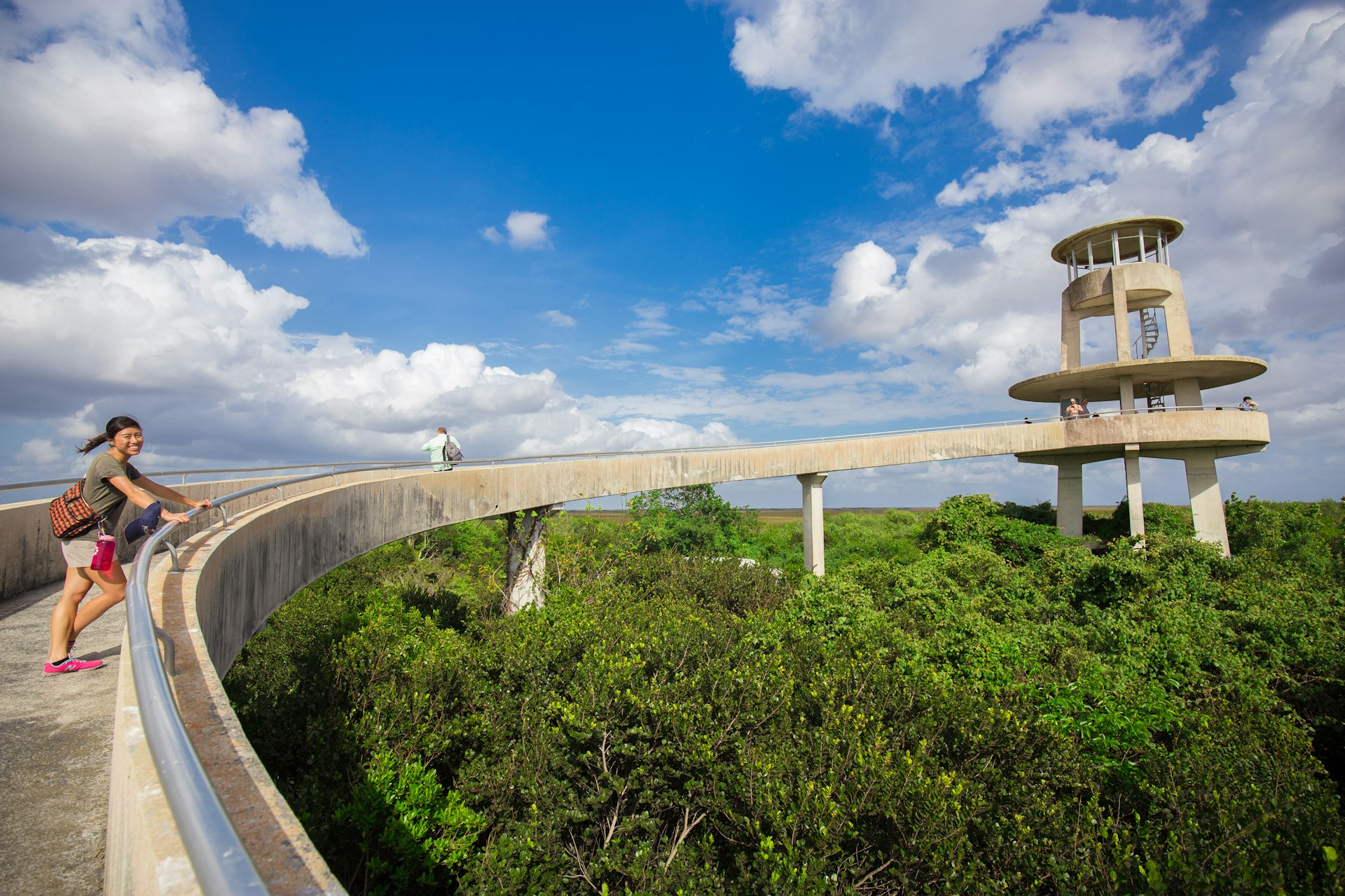 5 of the best hikes in Everglades National Park - Lonely Planet