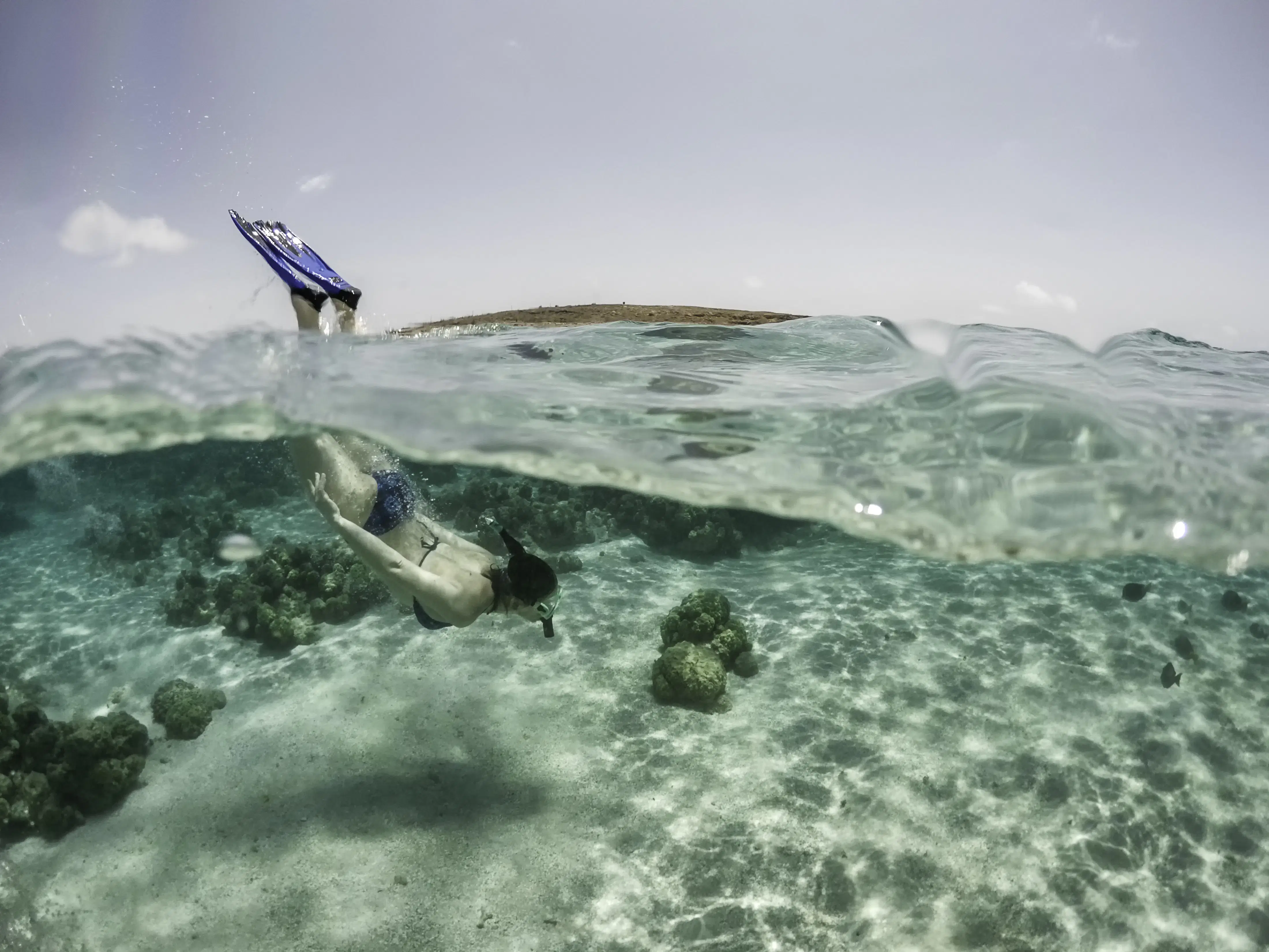 Guide to Aruba - Lonely Planet