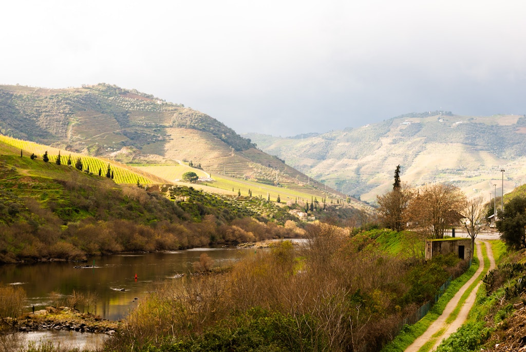 Porto day trip on Portugal's Linha do Douro train - Lonely Planet