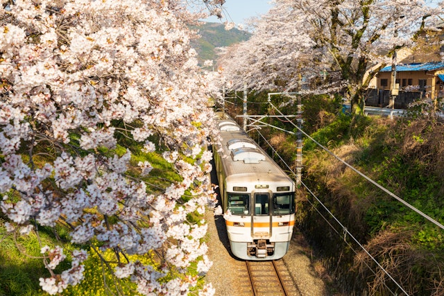 How to plan a train journey around Japan in 2024 - Lonely Planet