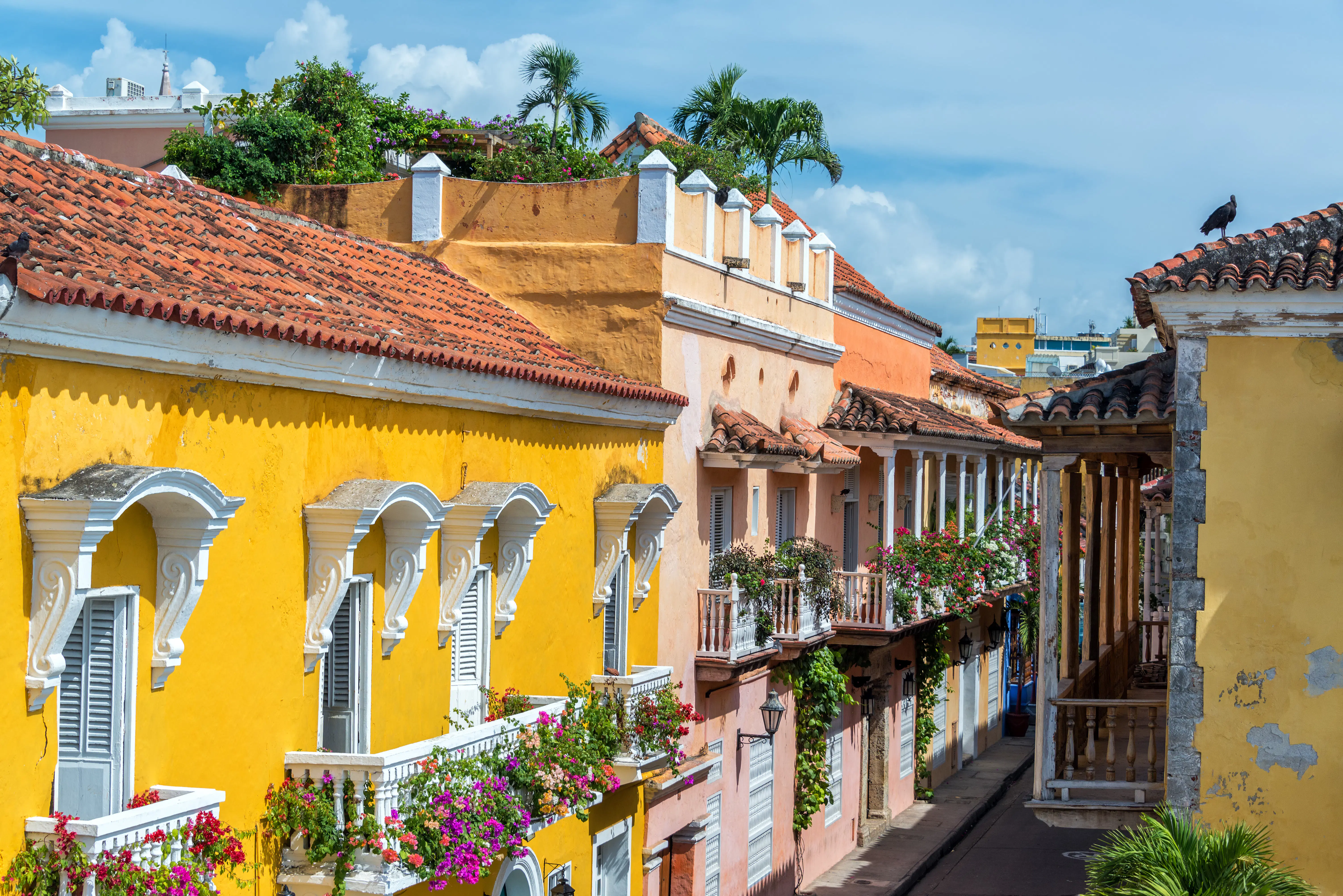 The 14 best things to do in Colombia - Lonely Planet